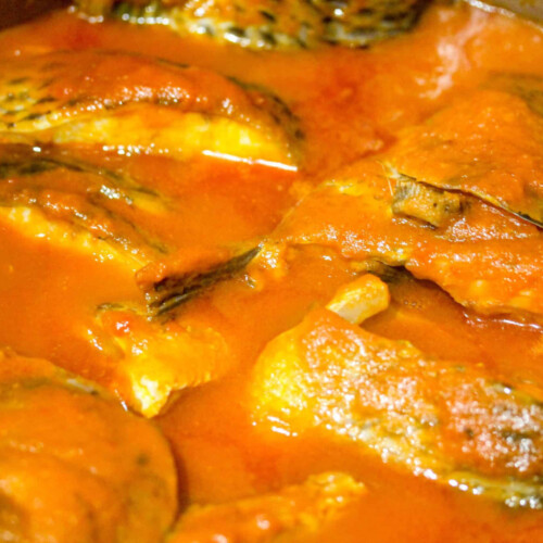 Nigerian Fish Stew with Tomato - Sims Home Kitchen