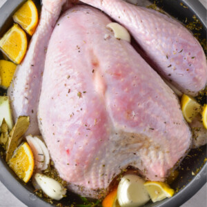 Best Christmas Turkey - Sims Home Kitchen